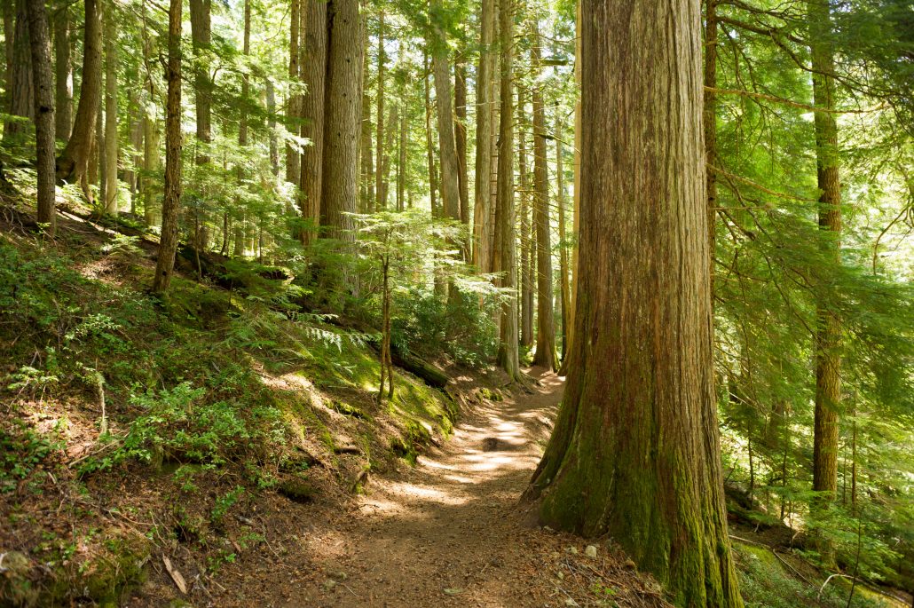 Bayshores & Millar’s Pond - RE/MAX Sea to Sky Real Estate Whistler